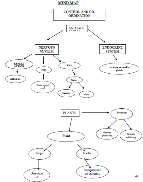 CBSE Class 10 Science Control And Coordination Notes Set F CBSE Class 10 Science Control And Coordination Notes Set F